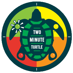 Two Minute Turtle Toothbrushing Timer | ToothbrushTimer.com ...