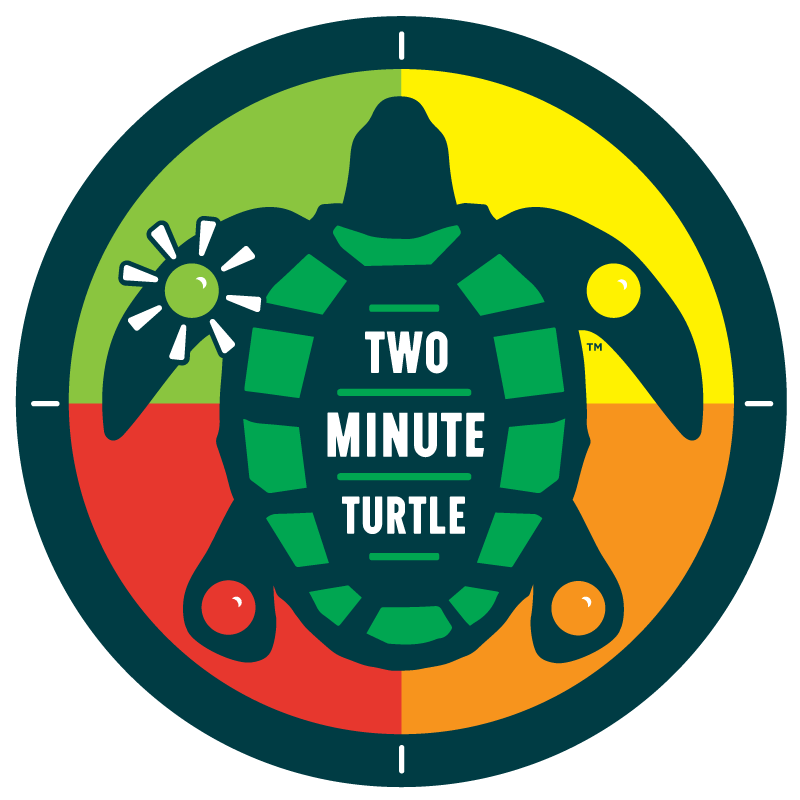 Two Minute Turtle Toothbrushing Timer | ToothbrushTimer.com ...
